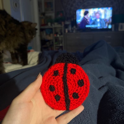 Crochet Pattern for Ladybug Coasters PDF, Fun Hostess Gift, Summer ...