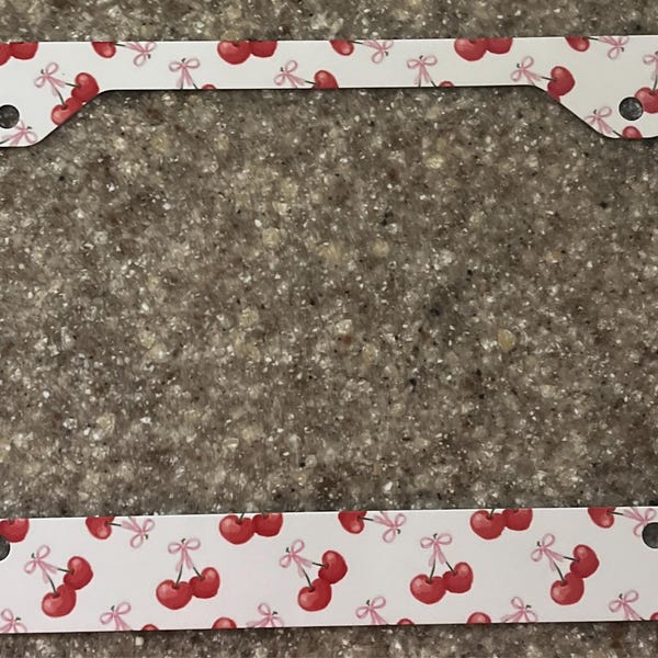 Light Blue Seashells Beachy License Plate Frame Ocean Vanity Car Tag ...