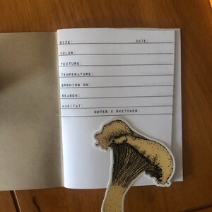 Mushroom Journal FORAGING Field Guide Notes for Edible Mushrooms Zine ...