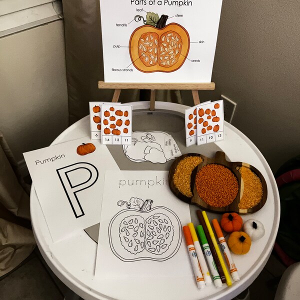 Pumpkin Mini Unit Study - Etsy