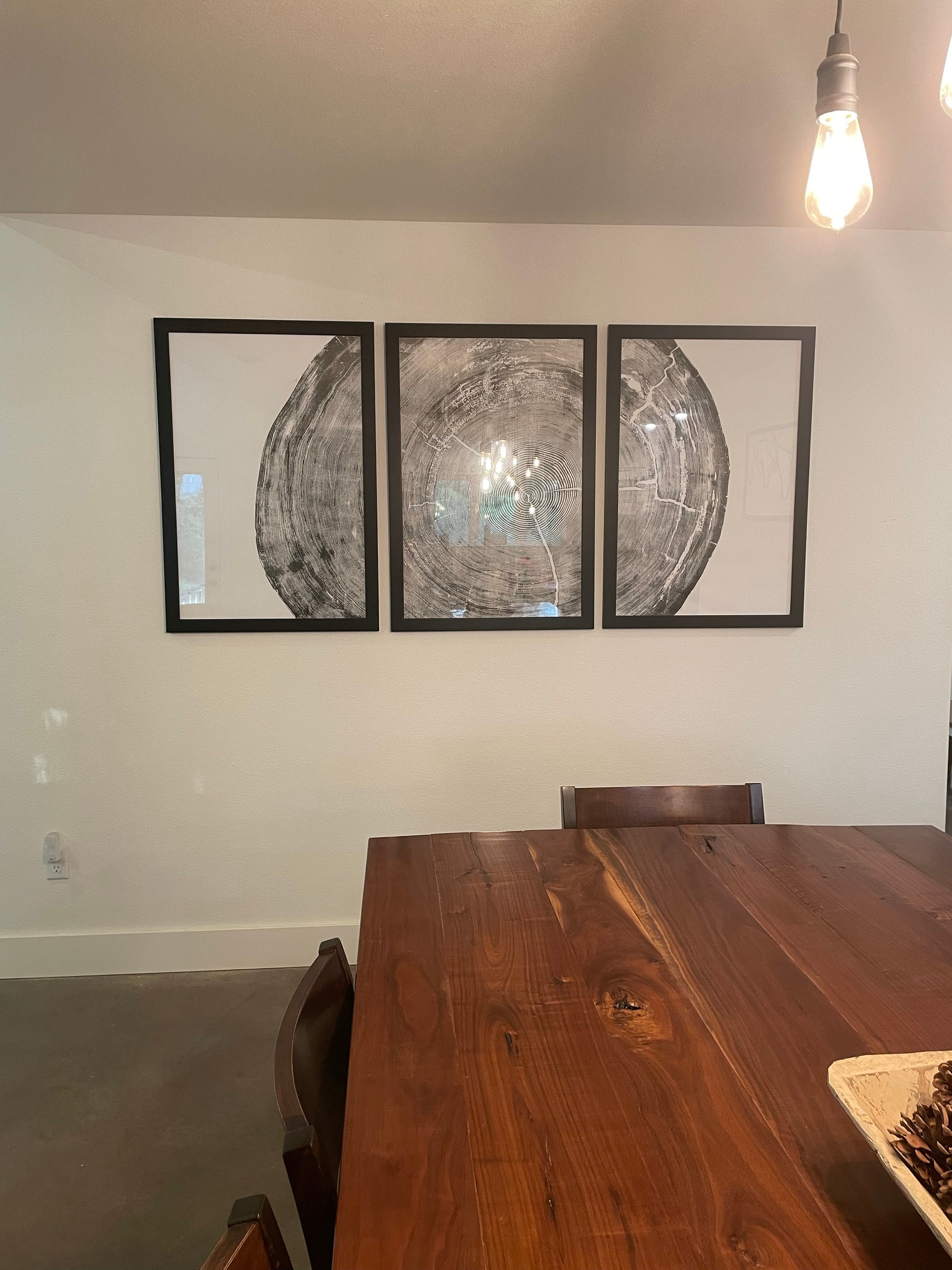 Woodcut Print, Sitka Spruce, Three Panel Wall Art, Tree Ring Print, 372 ...