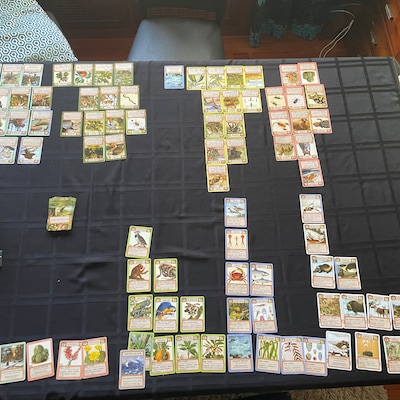 Ecologies Card Game Gameplay Inspired by Nature Use Science to Build ...