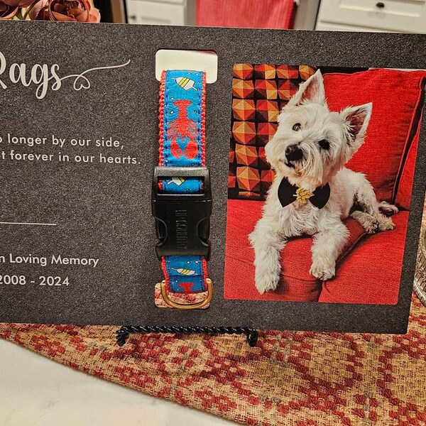 Custom Pet Memorial Urn With Personalized Photo Frame Elegant Tribute ...