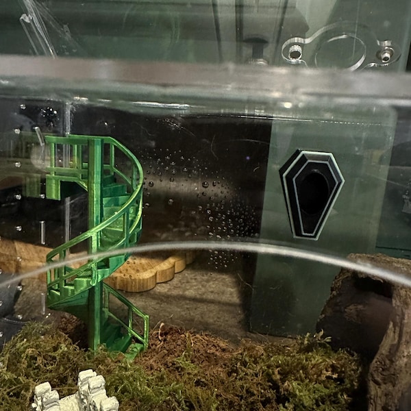 Pink and White Coffin Mini Jumping Spider Enclosure - Etsy
