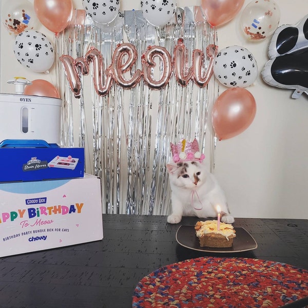 Meow Birthday Balloon Set Paw Print Balloon Pet Birthday Balloon Rose ...