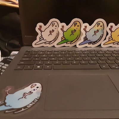 Green & Yellow Budgie Clear Vinyl Sticker - Etsy