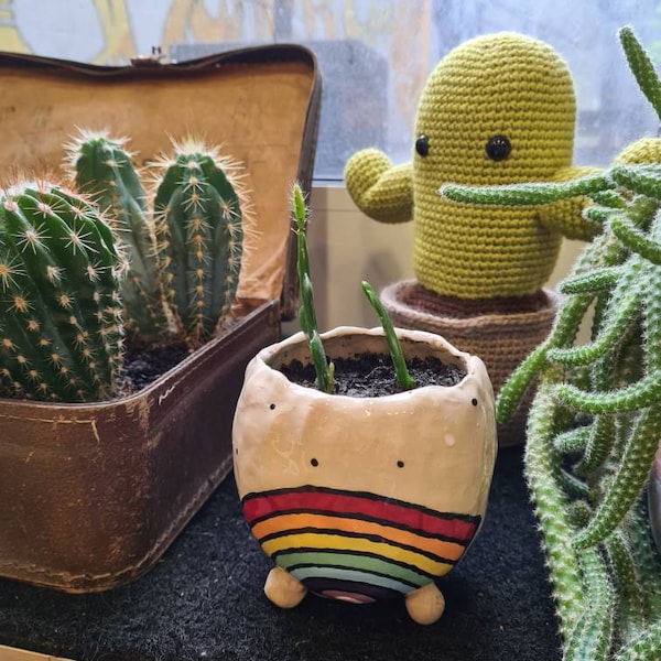 The Rainbow Pot Collection - Ceramic, Handmade Succulent Pot Cactus Pot ...