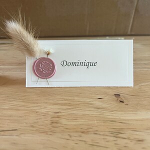 Preserved Lycopodium Bunchdried Princess Pine Grassdried - Etsy