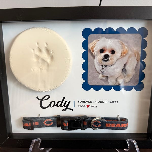 Pet Memorial Gift With Collar and Clay Paw Print Shadow Box, Clay Paw ...