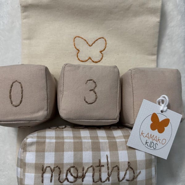 Month Markers Blocks With Light Blue Checkered Print - Age Milestone ...
