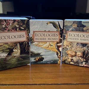 Ecologies: Hidden Habitats Gameplay Inspired by Nature Sequel and ...