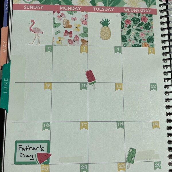 Colibri Any Month PREPPY PLANNER for Month View | Standard Size Colibri ...