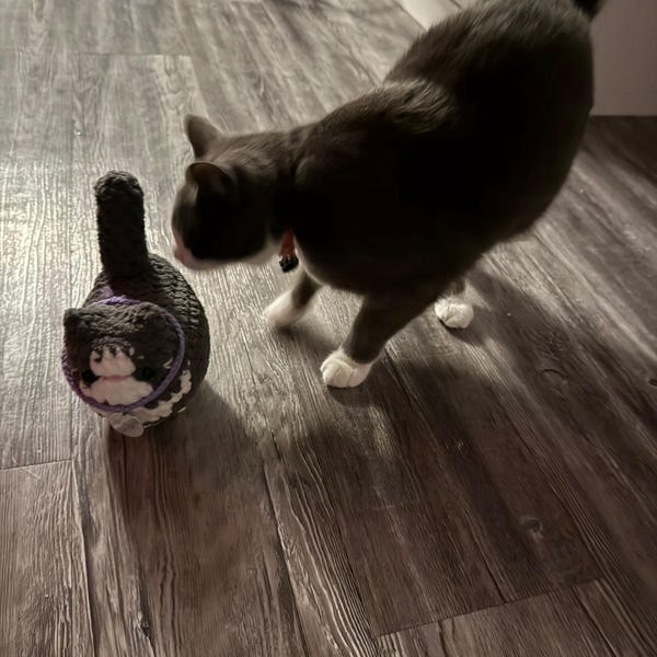 Blind Box Fish Series 1 - Crochet Amigurumi Plushie - Etsy