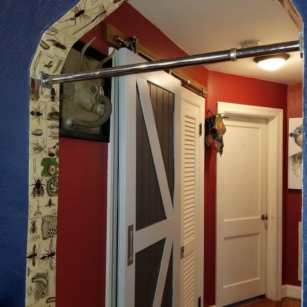 Insects Wallpaper - Bugging Out by Peacoquettedesigns - Entomology ...