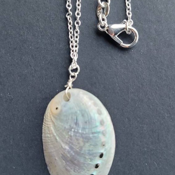 Real Natural White Shine Hue Abalone Seashell Shell Mother of Pearl ...