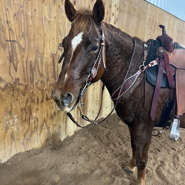 Western Natural Strip Down Leather Roper Wade Saddle by Aledosaddlery ...