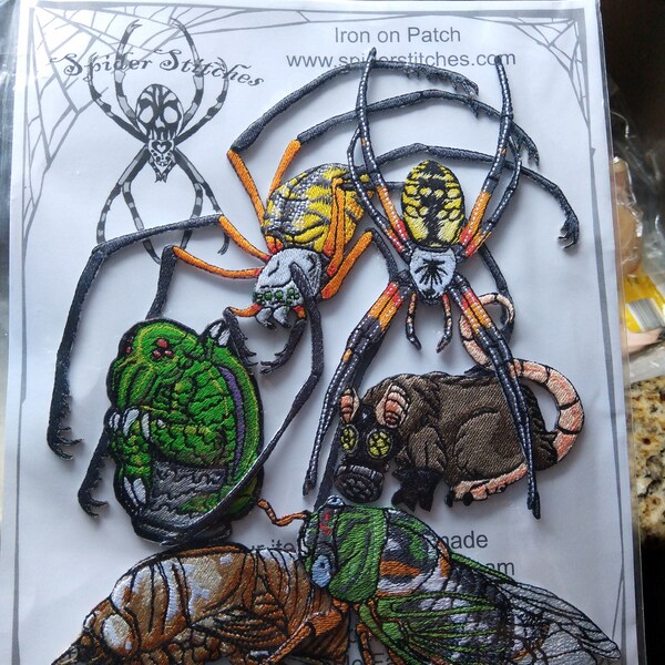 Golden Writing Orb Weaver Spider Argiope Aurantia Gothic Steam Punk ...