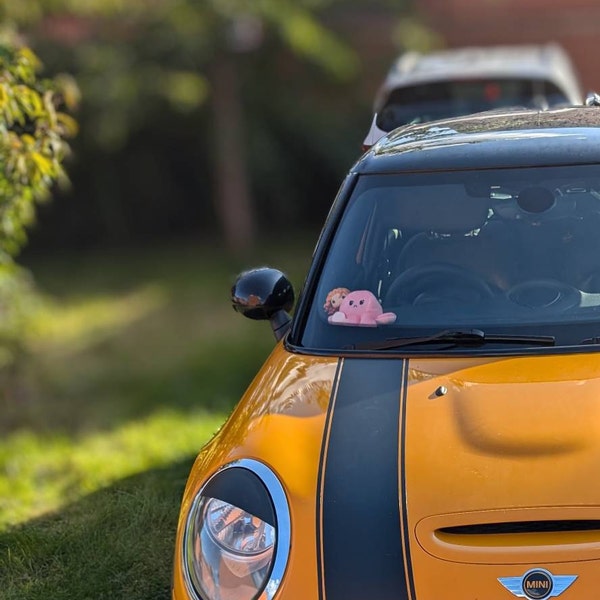 Gen 3 Mini F55, F56, F57 Grille Strut Crash Bar Wrapping Kit - Etsy