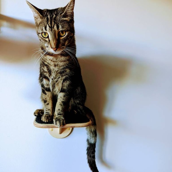 Cat Platform SWING BRIDGE original - Etsy