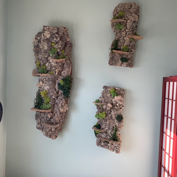 Floating Forest Art Gift, Moss on Cork Bark Natural Wall Decor ...