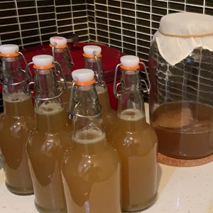 Apple Cider Mother of Vinegar Scoby ACV Starter Homemade | Etsy