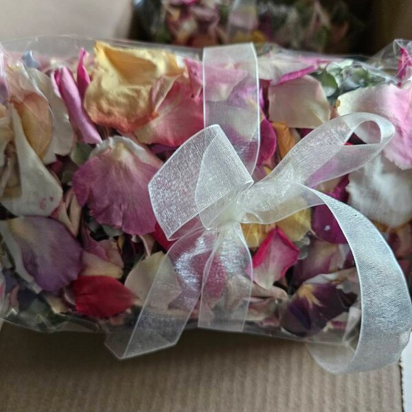 One Cup Petal Sample...choose YOUR Color FREE USA Shipping Wedding ...