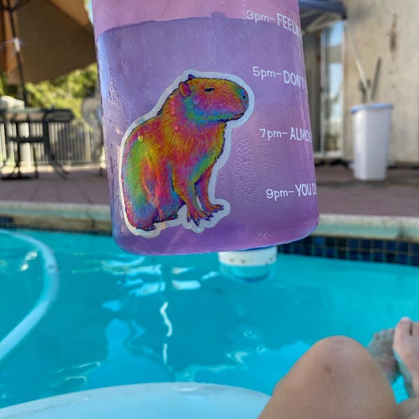 Psychedelic Rainbow Chill Capybara Cute Animal Pop Art Ceramic ...