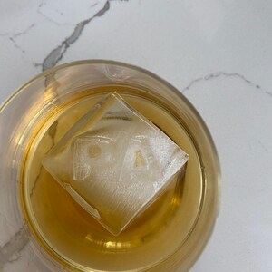 Custom Ice Mold Letter Ice Cubes Monogram Ice Mold - Etsy