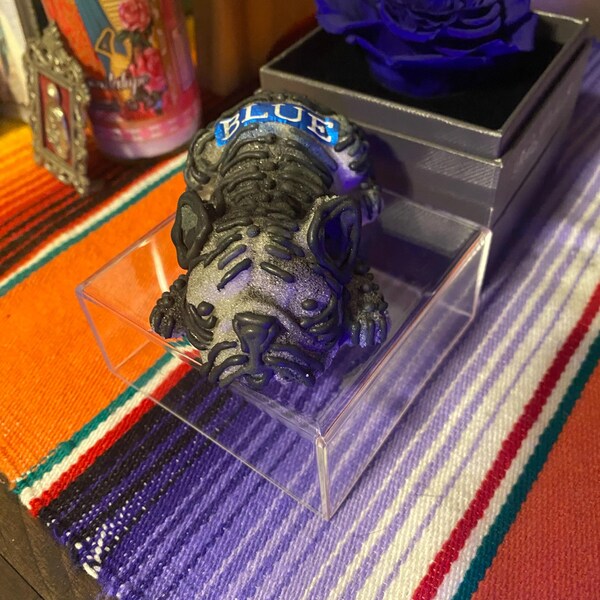 Elotitos Mexicanos/ Elotes Mexican Sweet Bread/ Traditional Mexican ...