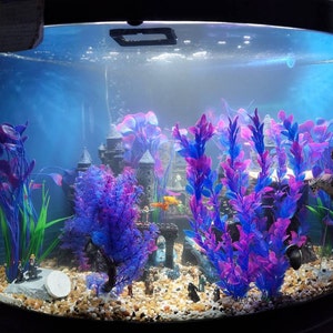 Skeleton Human Hand right Hand Prop Sculpture | Etsy