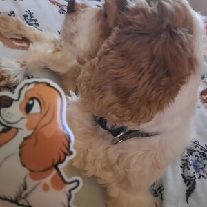 American Cocker Spaniel Sticker || Chibi Puppy Dog, Vinyl, Hand Drawn ...