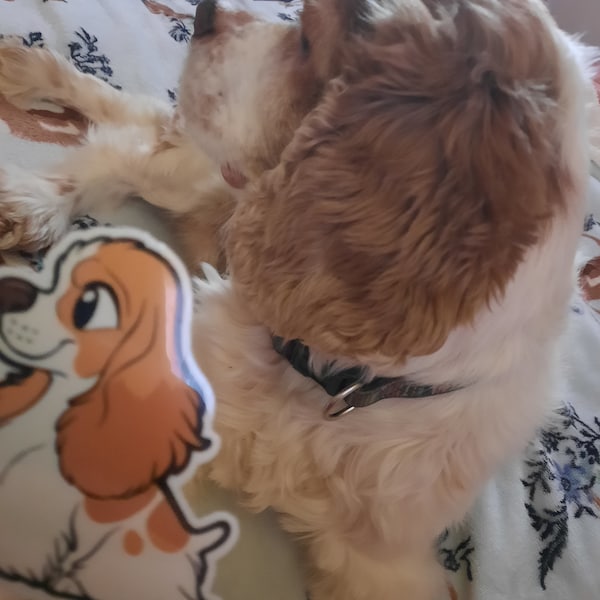 American Cocker Spaniel Sticker || Chibi Puppy Dog, Vinyl, Hand Drawn ...