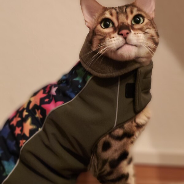 Stylish CAT Rain JACKET, Waterproof Cat Coat, Yellow Vintage Fisherman ...