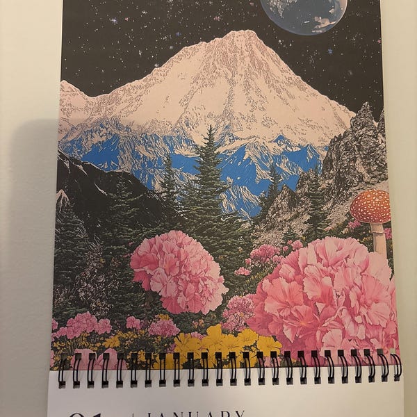 2025 Calendar | Cottage Core Calendar | 2025 Monthly Planner - Etsy Canada