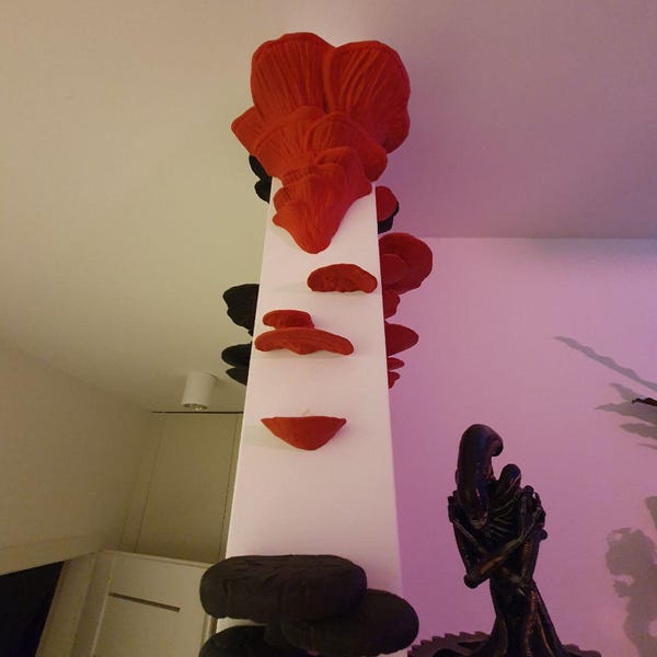 PLA Wood Mushroom Floating Shelves - the Trametes Fungus, Fungi Wall ...
