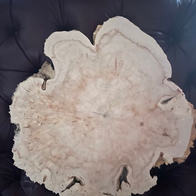 Poplar Burl Wood Slab 30x29x1.96 In Dry Slice for Table - Etsy