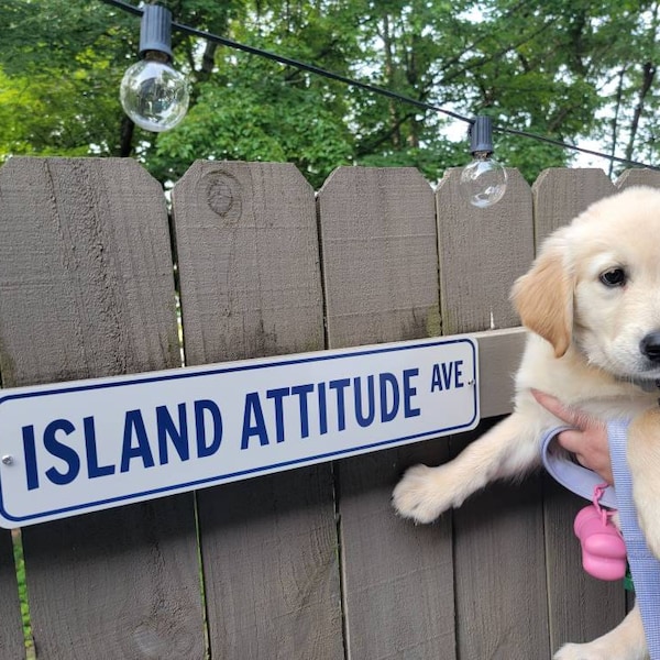 Island Time Ave Sign, Custom Beach Street Sign, Ocean Lover Gift, Beach ...