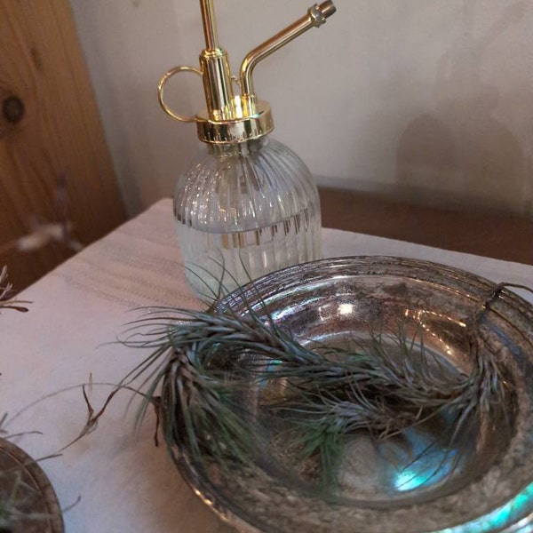 Plant Mister, Plant Spritzer, Vintage Plant Mister, Glass Plant Mister ...