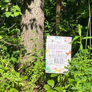 Wildflower Poster, Pollinator Plants Poster, Vintage Wildflower Print ...