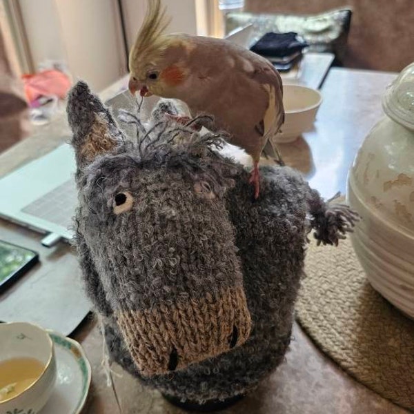 Donkey Hand Knitted Tea Cosy - Etsy