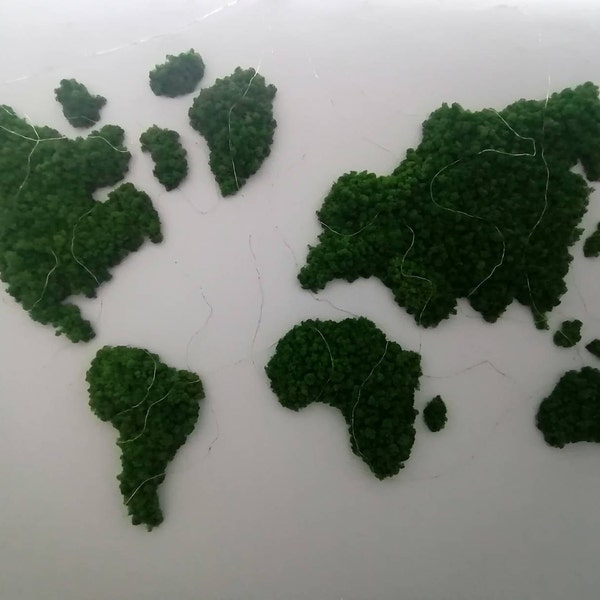 Moss World Map, Office Wall Art, Home Office Decor, Vertical Garden ...