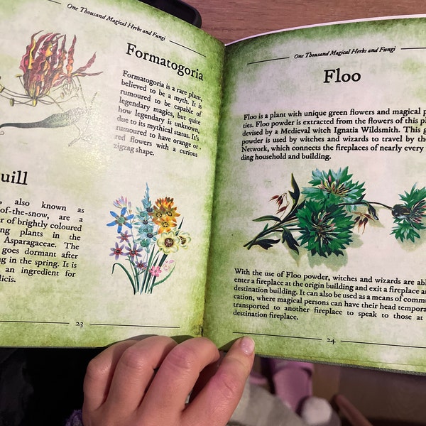 The Book of Shadows Charmed Brain Drain BOS - Etsy