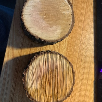 Natural Round Log Slices Rustic Green Wood Slice for Crafts Artists ...