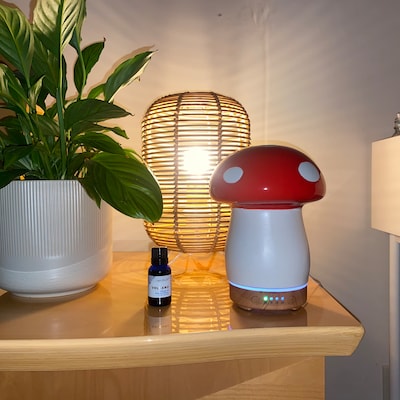 Mushroom Decor Essential Oil Diffuser, Cottagecore Aesthetic , Cute ...