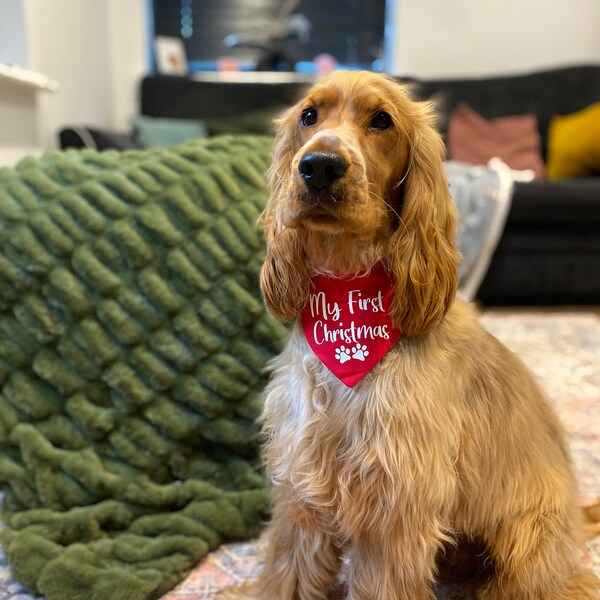 RED My First Christmas Dog Cat Bandana Neckerchief Bandana for Dogs ...