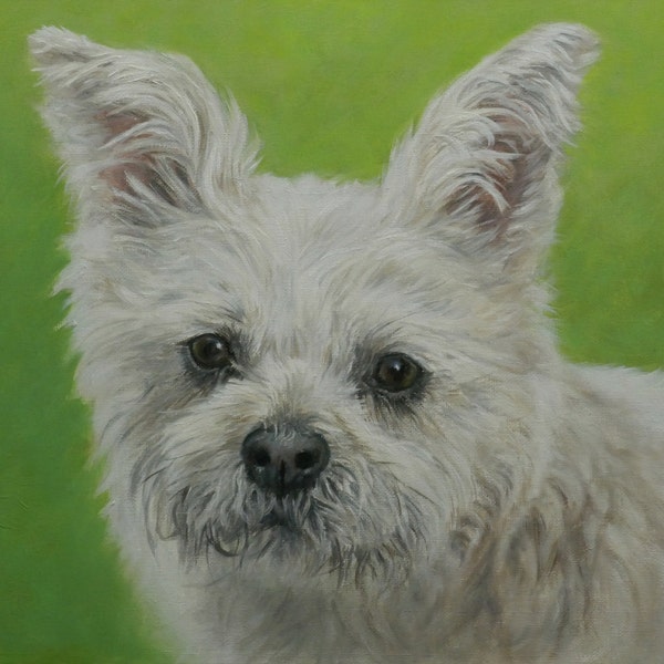 Pet Portrait Custom Cat Portrait Drawing - Carbon Pencil on Ingres ...