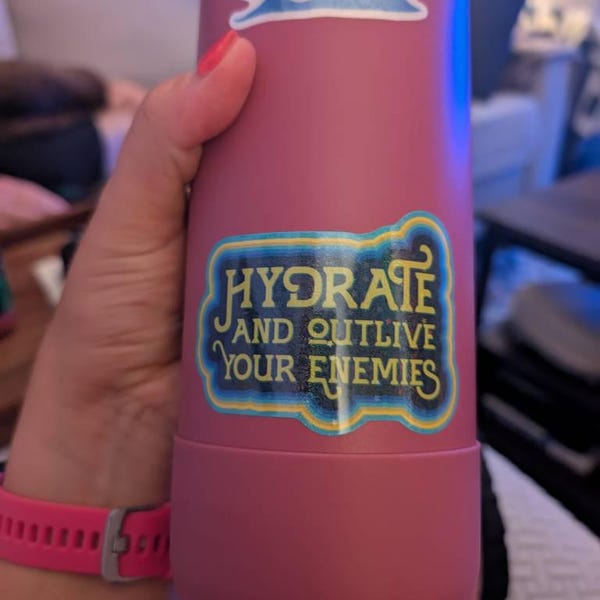 Emily Blaster Game Diskette Sticker 2.5" ~ Tomorrow and Tomorrow and ...