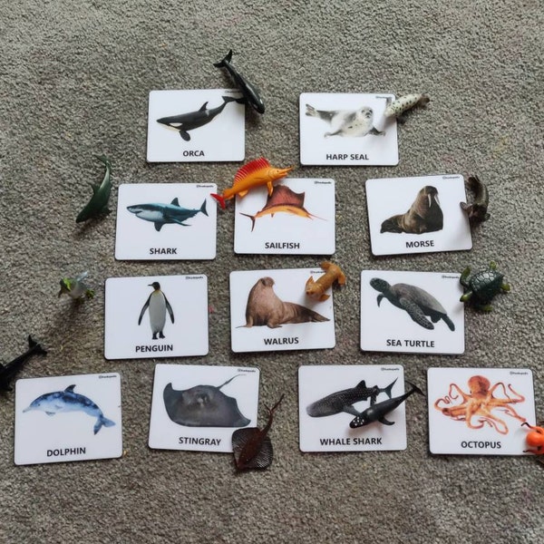 Sea Animals Cards Montessori Ocean Animals Activity Montessori Cards ...