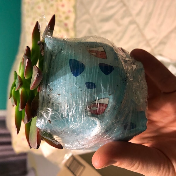 Painted Bulbasaur Planter With Live Succulent/cactus - Green/shiny ...