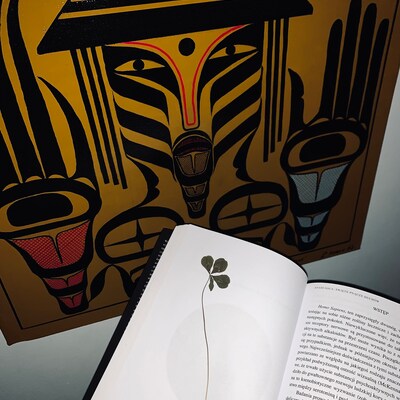 RAVEN THE SEER. 20x 20 Original Painting. - Etsy